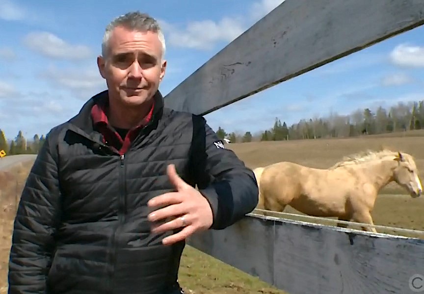 CTV BREAKING NEWS: Jayson Baxter Sees A Man About A Horse – Frank Magazine